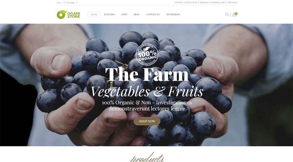 10 + Best WooCommerce Themes For Online Store